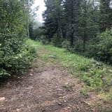 Cadomin Trail, Alberta, Canada - 7 Reviews, Map | AllTrails