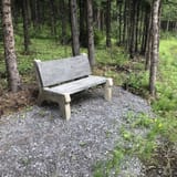 Cadomin Trail, Alberta, Canada - 7 Reviews, Map | AllTrails