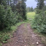 Cadomin Trail, Alberta, Canada - 7 Reviews, Map | AllTrails