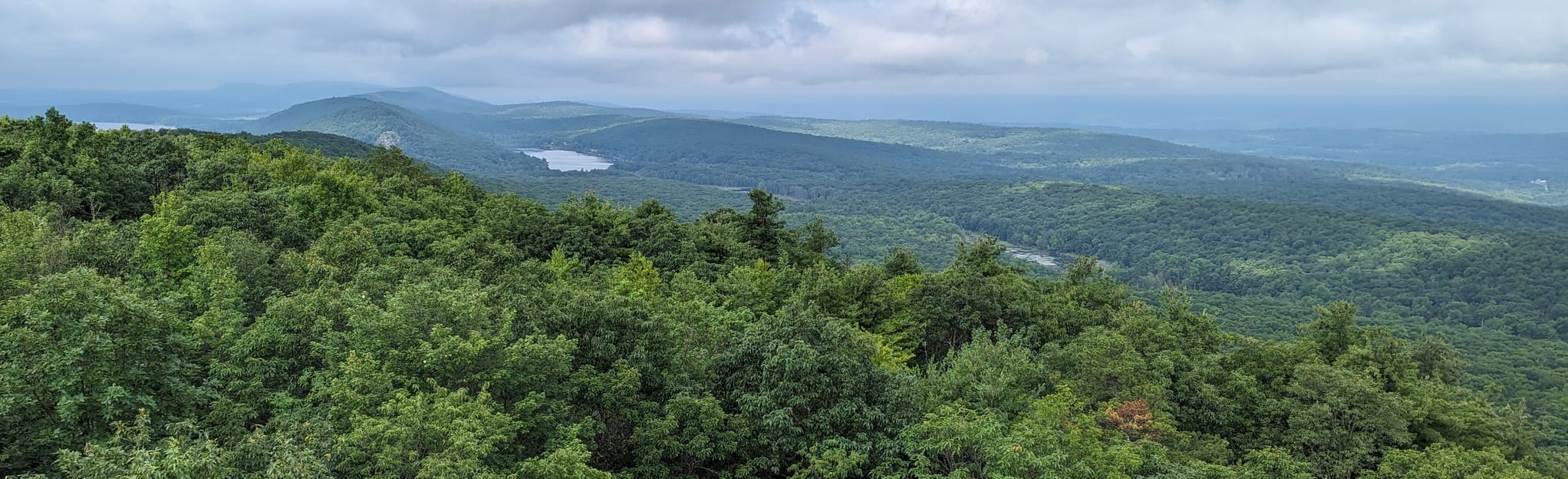 Culver Tower Loop, New Jersey - 123 Reviews, Map | AllTrails