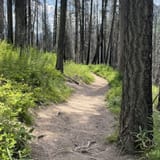 Morrell Falls National Recreation Trail, Montana - 507 Reviews, Map ...