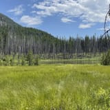 Morrell Falls National Recreation Trail, Montana - 507 Reviews, Map ...