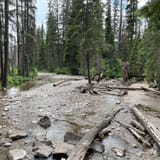Morrell Falls National Recreation Trail, Montana - 507 Reviews, Map ...