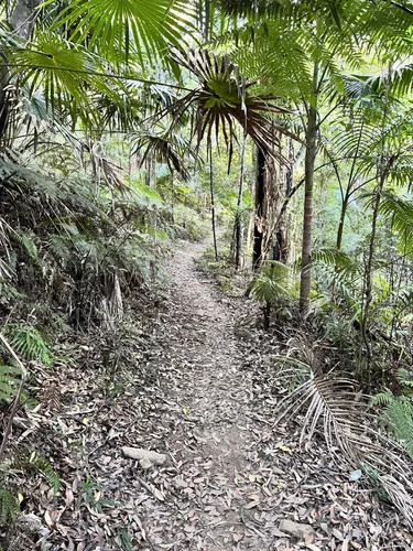 Best Hikes and Trails in Katandra Reserve | AllTrails