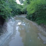 Spring Creek Nature Area Trail, Texas - 972 Reviews, Map | AllTrails