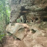 Koomer Ridge Trail, Kentucky - 602 Reviews, Map | AllTrails