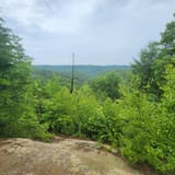 Koomer Ridge Trail, Kentucky - 602 Reviews, Map | AllTrails