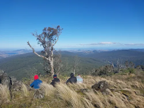 Best Hikes and Trails in Mount Royal National Park | AllTrails