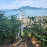 Washington Park Loop Road, Washington - 1,771 Reviews, Map | AllTrails