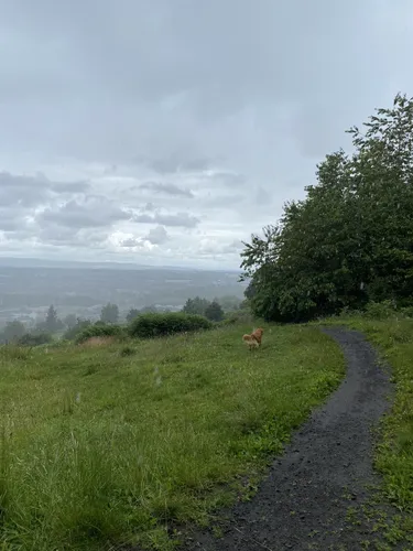 Cathkin Braes Country Park: de beste routes om te wandelen | AllTrails
