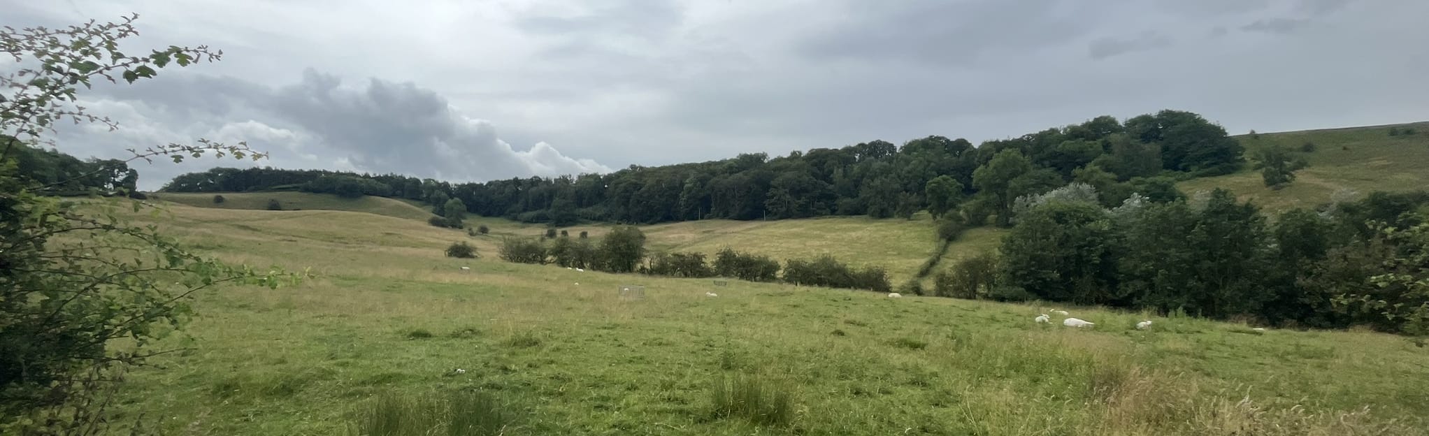 Bakewell to Rowsley Circular, Derbyshire, England - 30 Reviews, Map ...