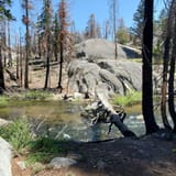 The Potholes, California - 445 Reviews, Map | AllTrails