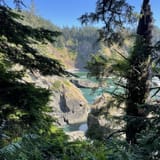 Natural Bridges Viewpoint Trail, Oregon - 551 Reviews, Map | AllTrails