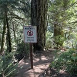Natural Bridges Viewpoint Trail, Oregon - 551 Reviews, Map | AllTrails