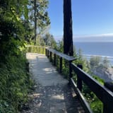 Natural Bridges Viewpoint Trail, Oregon - 551 Reviews, Map | AllTrails