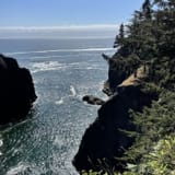 Natural Bridges Viewpoint Trail, Oregon - 551 Reviews, Map | AllTrails