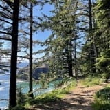 Natural Bridges Viewpoint Trail, Oregon - 551 Reviews, Map | AllTrails