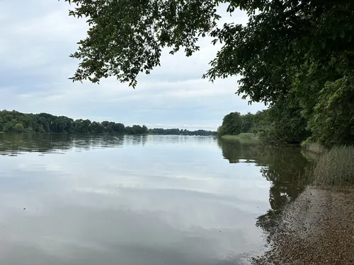 Best Hikes and Trails in Bohemia River State Park | AllTrails