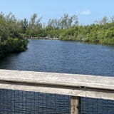 Gordon River Greenway, Florida - 857 Reviews, Map | AllTrails