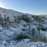 Hidden Horseshoe and Pushwalla Palms Trail, California - 250 Reviews ...