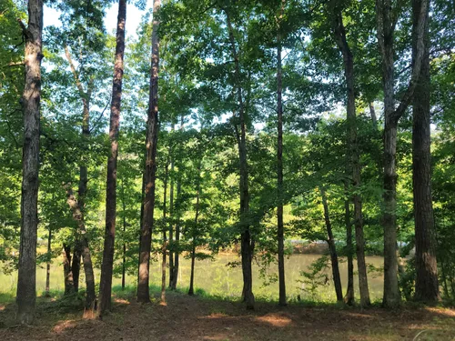 Best Hikes and Trails in Clarence Duncan Memorial Park | AllTrails