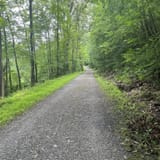 Spring Creek Canyon Trail, Pennsylvania - 577 Reviews, Map | AllTrails
