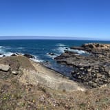 Salt Point Trail to Stump Beach, California - 635 Reviews, Map | AllTrails