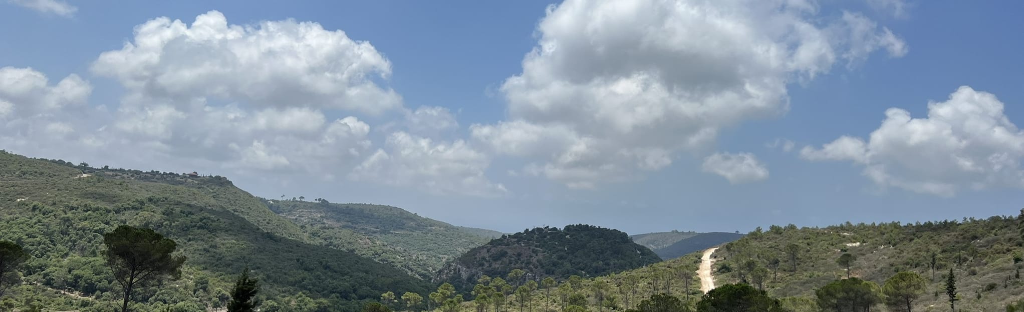 Carmel Forest, Mount Shoqef Park, Mount Alon and Beit Oren Forest: 82 ...