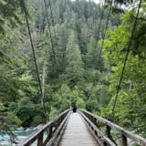 Baker River Trail, Washington - 237 Reviews, Map | AllTrails