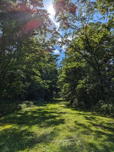 Best Hikes and Trails in Walnut Point State Park | AllTrails