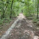 Cape Henry Trail, Virginia - 553 Reviews, Map | AllTrails
