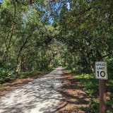 Guana Trail, Marshview Lane, and Shellbluff Road, Florida - 268 Reviews ...