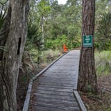 Guana Trail, Marshview Lane, and Shellbluff Road, Florida - 268 Reviews ...