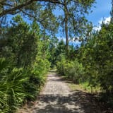 Guana Trail, Marshview Lane, and Shellbluff Road, Florida - 286 Reviews ...