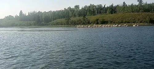 Best Forest Trails in Meadow Lake Provincial Park | AllTrails