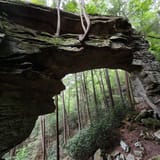 Split Bow Arch Loop, Kentucky - 200 Reviews, Map | AllTrails