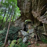 Split Bow Arch Loop, Kentucky - 200 Reviews, Map | AllTrails