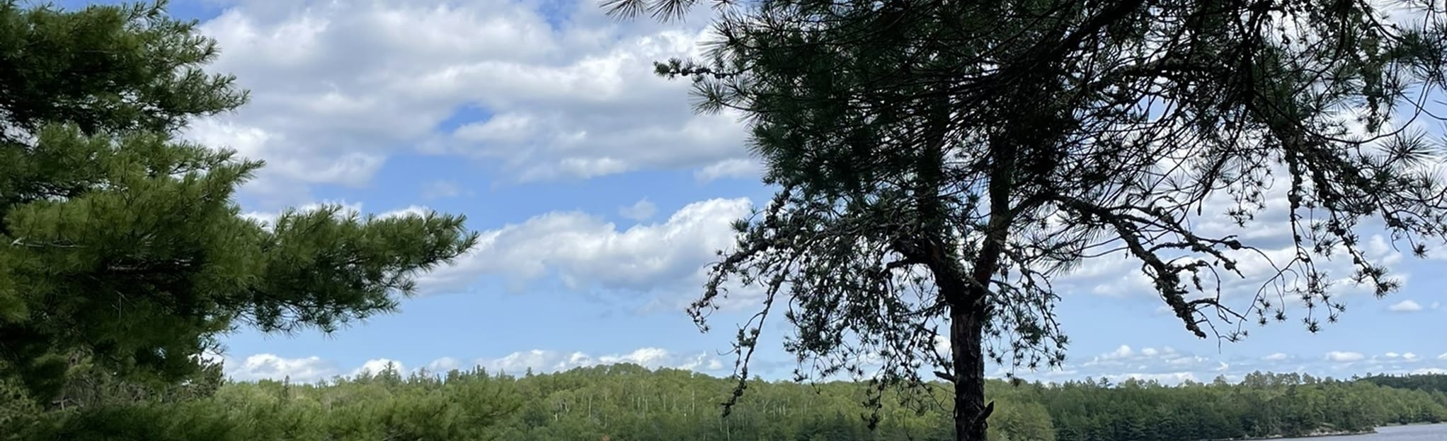 Sullivan Bay Trail, Minnesota - 110 Reviews, Map | AllTrails