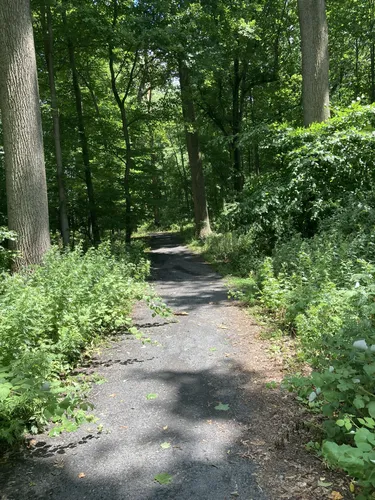 Melhores caminhadas e trilhas em Benjamin Rush State Park | AllTrails