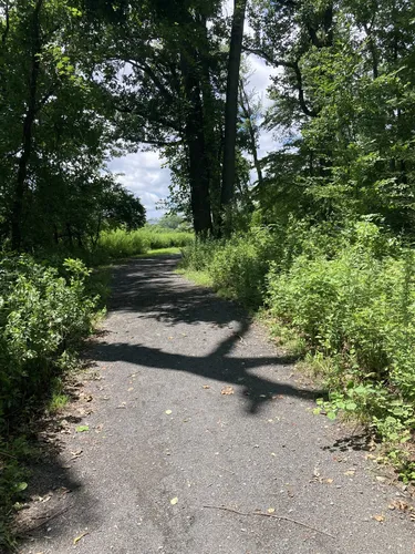 Beste wandelingen en routes in Benjamin Rush State Park | AllTrails