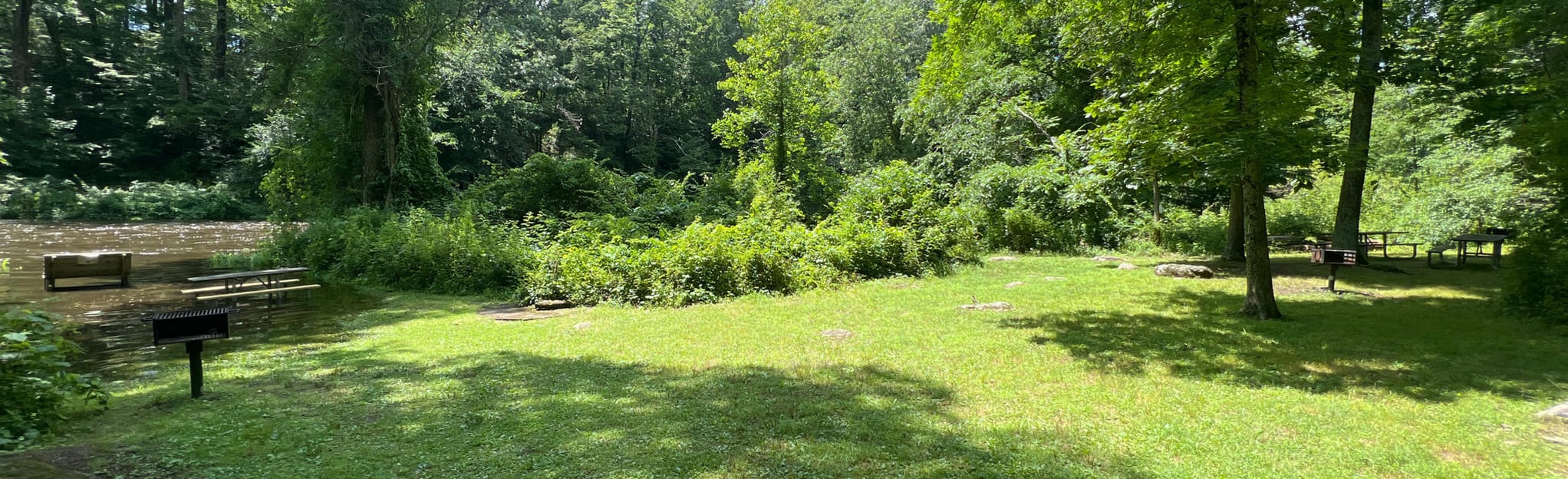 Patriots Path, White, and Yellow Trail Loop, New Jersey - 50 Reviews ...