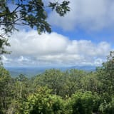 Springer Mountain, Georgia - 623 Reviews, Map | AllTrails