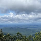 Springer Mountain, Georgia - 623 Reviews, Map | AllTrails
