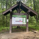 Springer Mountain, Georgia - 623 Reviews, Map | AllTrails