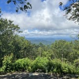 Springer Mountain, Georgia - 623 Reviews, Map | AllTrails