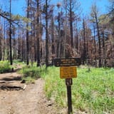 Inner Basin Trail, Arizona - 818 Reviews, Map | AllTrails