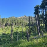 Crow Peak Trail, South Dakota - 802 Reviews, Map | AllTrails