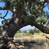 Redtail Loop to Arastradero Creek Loop, California - 1,738 Reviews, Map ...