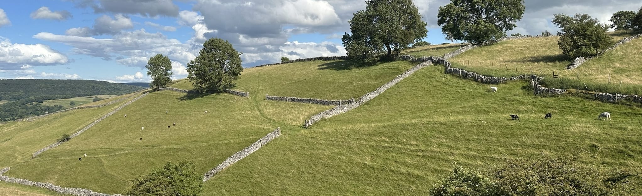 Monsal Head, Deep Dale Nature Reserve, and Bakewell Circular: 206 ...