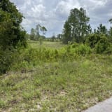 Van Fleet State Trail via Mabel, Florida - 87 Reviews, Map | AllTrails